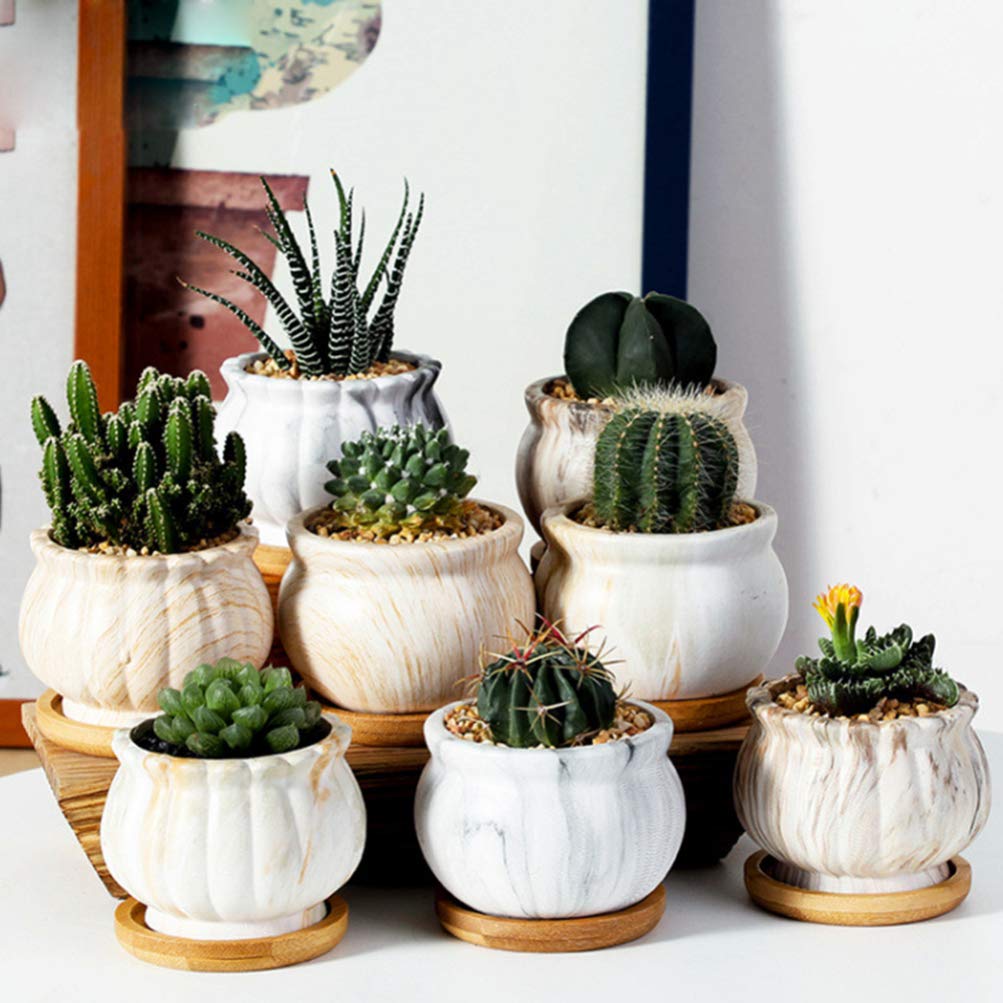 Happyyami 8Pcs Ceramic Succulent Plant Pot planters for Indoor Plants Bonsai Planter Bowl Round Potting Pot Decorative Planter Home Decoration Creative Flower Pot Wooden Household Container