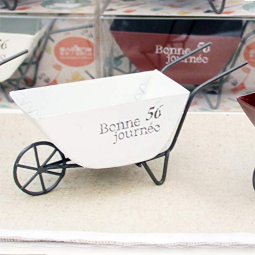 Hemoton Box Wheelbarrow Miniature Wheelbarrow Decor Bicycle Planter Metal Succulent Pots Metal Standing Planter Decorative Garden Planter Mini Succulent Pot Rack Man Indoor Small Metal