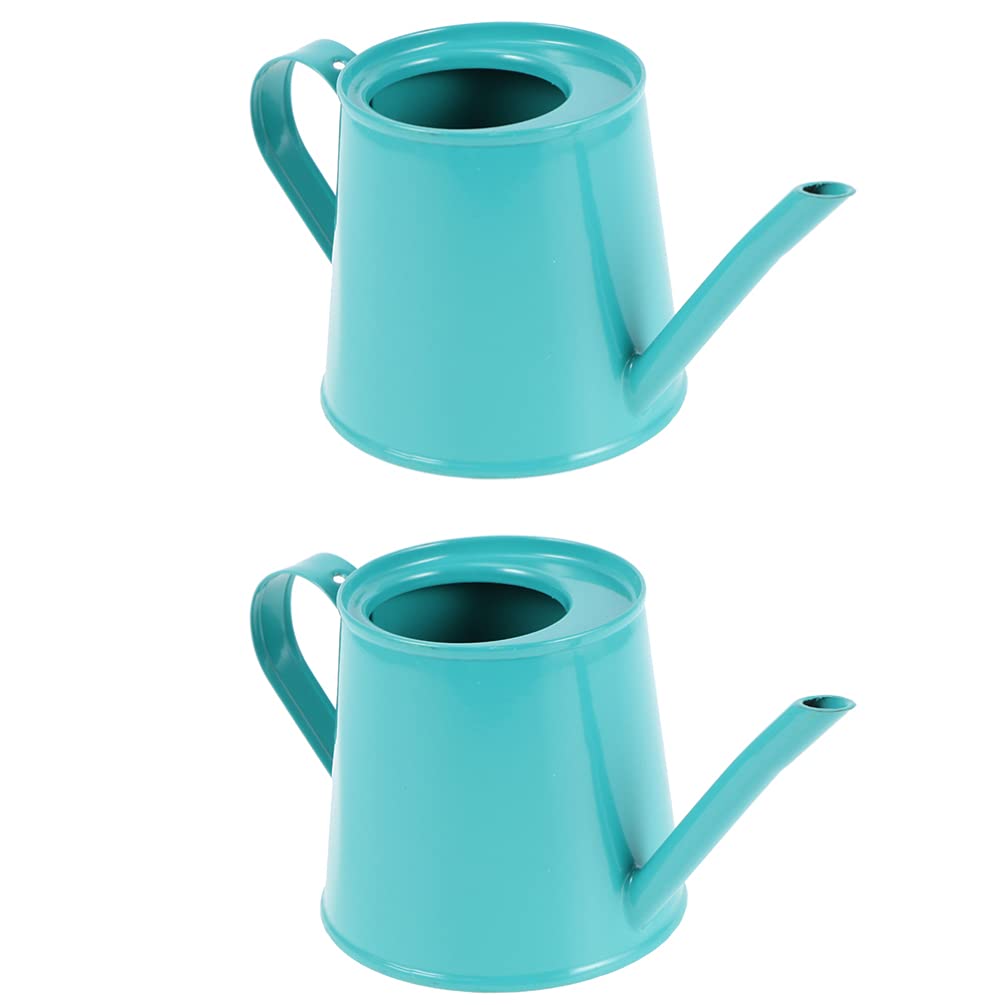 Hemoton 2pcs Children Watering Can Small Kids Watering Pot Long Spout Watering Kettle Iron Watering Tin Watering Bucket for Bonsai Indoor Outdoor Plant