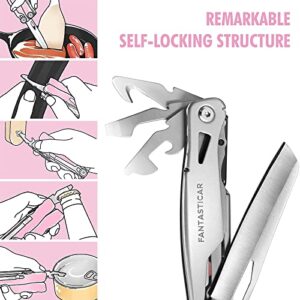 FantastiCAR Pink Utility knife Box cutter with Extra Blades and Multifunctional Pliers Set, Stainless Steel Body and Gift Packaging Box