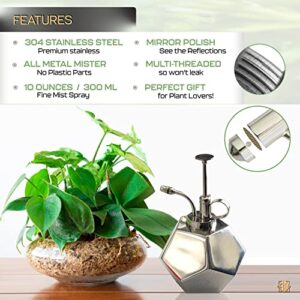 Stainless Steel Plant Mister Sprayer - metal plant mister spray bottle for succulents bonsai, air plants, indoor outdoor Silver spritzer pump for spraying moss orchid flowers herb gardens, terrariums