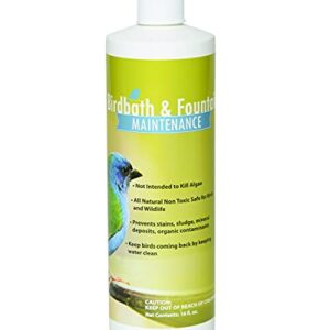 Sanco Bird Bath & Fountain Maintenance, Fast-Acting Enzyme-Based Formula Will Extend The Life of Your Water Feature, Aid in Maintaining a Balanced Ecosystem, 16 oz