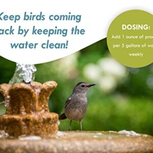 Sanco Bird Bath & Fountain Maintenance, Fast-Acting Enzyme-Based Formula Will Extend The Life of Your Water Feature, Aid in Maintaining a Balanced Ecosystem, 16 oz