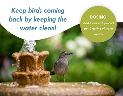 Sanco Bird Bath & Fountain Maintenance, Fast-Acting Enzyme-Based Formula Will Extend The Life of Your Water Feature, Aid in Maintaining a Balanced Ecosystem, 16 oz