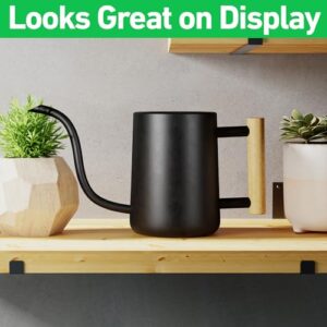 Indoor Watering Can with Long Spout - 35oz Black Watering Can for Indoor Plants - Cute Watering Can Indoor - Small Watering Can for Indoor Plants - Indoor Plant Watering Can