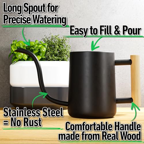 Indoor Watering Can with Long Spout - 35oz Black Watering Can for Indoor Plants - Cute Watering Can Indoor - Small Watering Can for Indoor Plants - Indoor Plant Watering Can