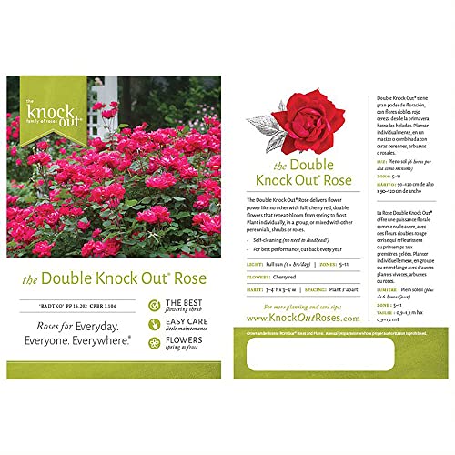 Knockout ' Double Rose, 1 Gallon, Cherry Red