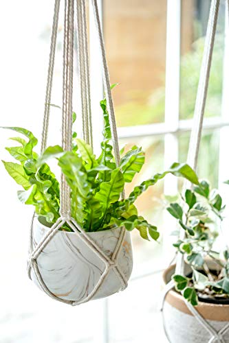 Dahey Macrame Plant Hanger Indoor Hanging Planter Basket Handmade Woven Cotton Rope Flower Pot Decorative Crochet Plant Holder Stand for Boho Home Decor No Tassels,35 Inch,Set of 2