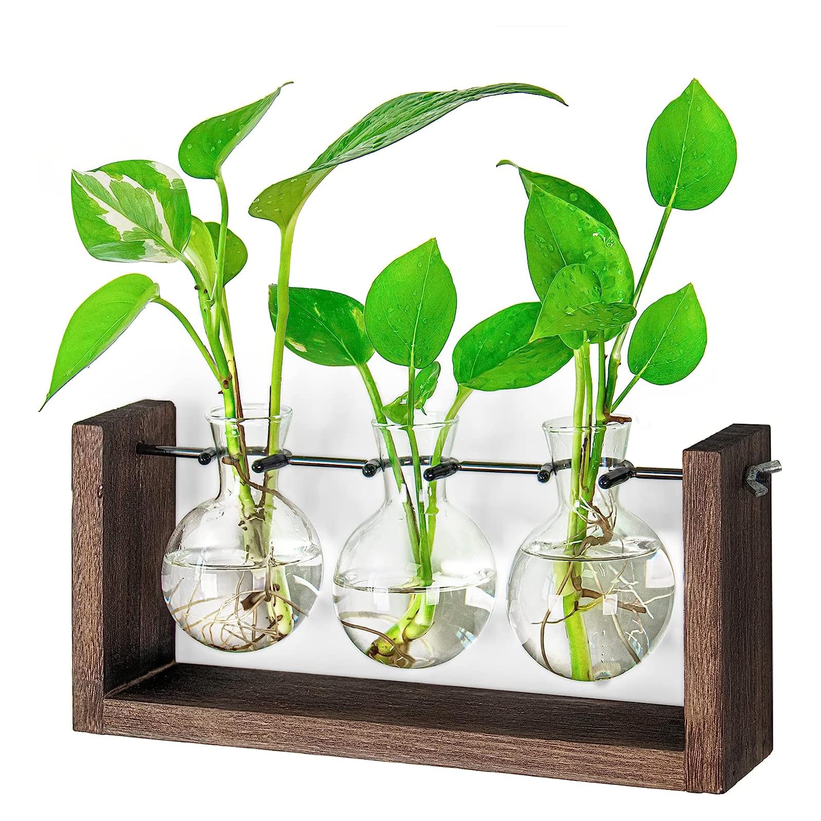 Ivolador Plant Terrarium, Wall Hanging Glass Planter with Wooden Stand Tabletop Propagation Station with Metal Swivel Holder Retro Rack 3 Bulb Containers for Hydroponics Plants Home Office Decor