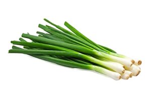 scallion bunching onion seeds, 250+ evergreen hardy white, heirloom, non-gmo, allium fistulosum