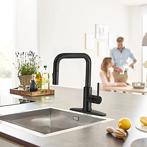 Kitchen Faucet Single Handle Stainless Steel Kitchen Sink Faucet with Pull Out Sprayer Matte Black