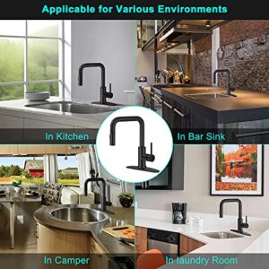 Kitchen Faucet Single Handle Stainless Steel Kitchen Sink Faucet with Pull Out Sprayer Matte Black