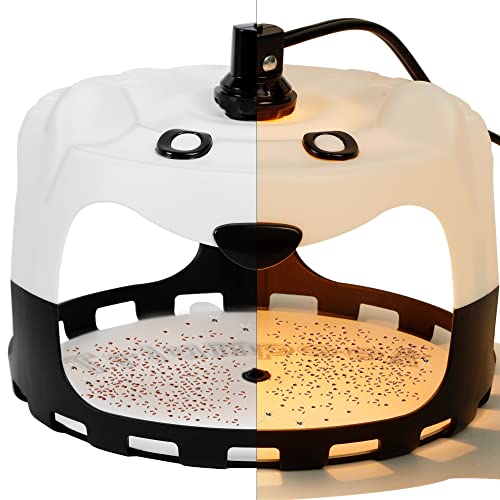 Triumpeek Flea Trap, Get Rid of Fleas Trap with 5 Sticky Discs & 2 Replacement Light Bulbs, Indoor Lamp Catcher for Fleas, Moths, and Cockroaches