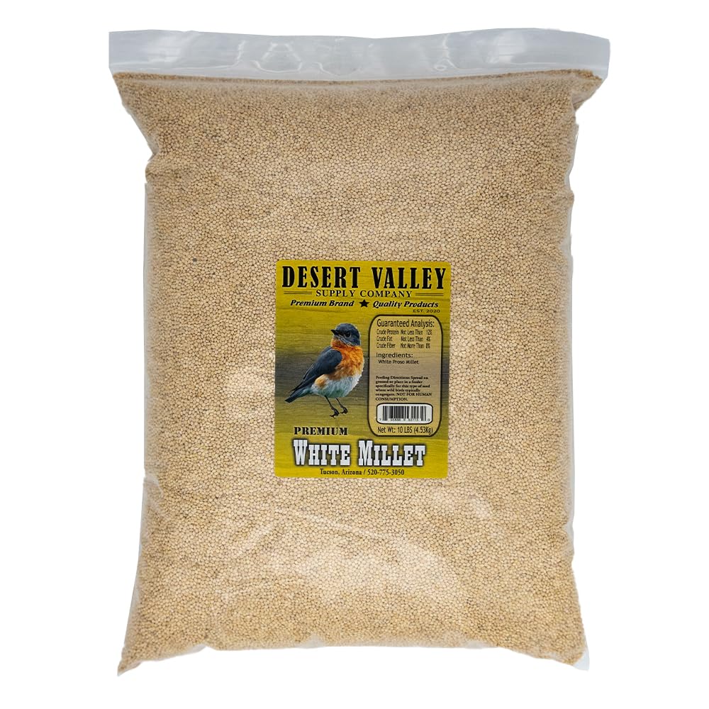 Desert Valley Premium White Millet Proso Seeds - Wild Bird Food, Cardinal, Finches & More (10-Pounds)