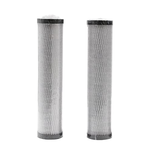 Westbrass F400R Replacement Filter Cartridges for F400 Under Sink In-line Filter Unit and Instant Hot or Pure Water Dispenser Faucets, White (2-Pack)