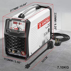 ANDELI TIG Welder PULSE/HF TIG/STICK/ARC,170 Amp 110/220V Dual Voltage Multi-function IGBT TIG Welding Machine with Torch