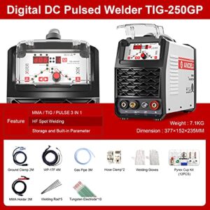 ANDELI TIG Welder PULSE/HF TIG/STICK/ARC,170 Amp 110/220V Dual Voltage Multi-function IGBT TIG Welding Machine with Torch