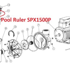 Pool Ruler Hayward SPX1500P (2 Pack + Grease) Above Ground Pump Strainer Cover O-Ring - PowerFlo and TurboFlo Pumps