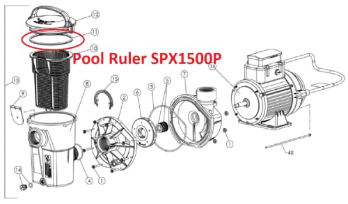 Pool Ruler Hayward SPX1500P (2 Pack + Grease) Above Ground Pump Strainer Cover O-Ring - PowerFlo and TurboFlo Pumps