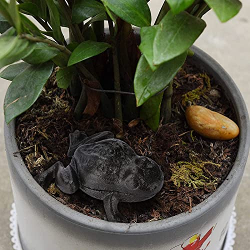 JUXYES Frog Cast Iron Key Hider Outside Spare Door Key Box Outdoor Small Garden Statues Ornament, Frog Indoor Decoration Jewelry Trinkets Box for Key, Ear Studs, Ring, Paper Clip