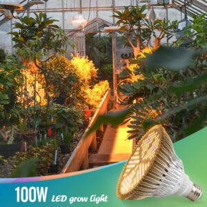 100W LED Grow Light Bulb, 2 Pack Full Spectrum 150 LED Plant Light Bulb for Indoor Plants, E26/27 Base Grow Light Bulbs, 160 Degree Warm Lighting Lamp for Flower Hydroponic Organic Growing Greenhouse