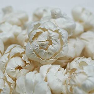 50 Pieces Peony 2 inches diameter Sola Wood Flowers Artificial Flower for decoration wholesale Shop Diffuser Handmade Spa Wedding Craft