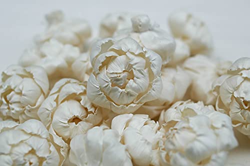 50 Pieces Peony 2 inches diameter Sola Wood Flowers Artificial Flower for decoration wholesale Shop Diffuser Handmade Spa Wedding Craft