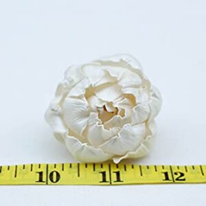 50 Pieces Peony 2 inches diameter Sola Wood Flowers Artificial Flower for decoration wholesale Shop Diffuser Handmade Spa Wedding Craft