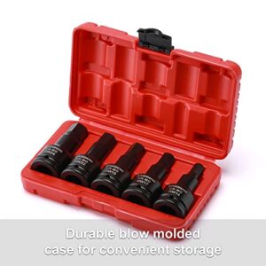 CASOMAN 3/4 Inch Drive Impact Hex Driver Set, 5-Pieces, Metric, 14mm, 17mm, 19mm, 22mm, 24mm, 3/4" Drive Master Impact Hex Bit Set, CR-MO, Impact Grade, One-Piece Construction