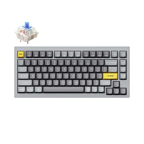 Keychron Q1 75% Layout RGB Hot-swappable Wired Custom Mechanical Keyboard, QMK/VIA Programmable Macro with Gateron G Pro Blue Switch Double Gasket Compatible with Mac Windows Linux (Grey) -Version 2