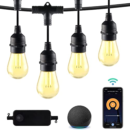 BN-LINK 48ft Outdoor String Lights-Smart Outside String Lights-24 LED Bulbs Dimmable & Shatterproof, 2.4 GHz Wi-Fi & Bluetooth App Control, Works with Alexa/Google Home, IP65 Waterproof & Extendable