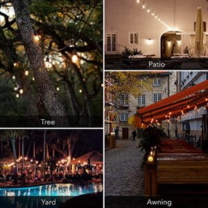 BN-LINK 48ft Outdoor String Lights-Smart Outside String Lights-24 LED Bulbs Dimmable & Shatterproof, 2.4 GHz Wi-Fi & Bluetooth App Control, Works with Alexa/Google Home, IP65 Waterproof & Extendable