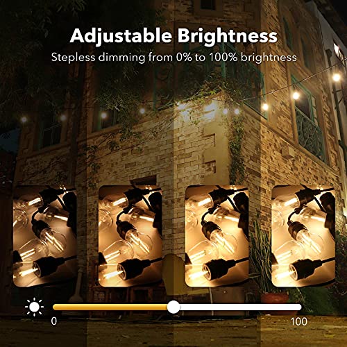 BN-LINK 48ft Outdoor String Lights-Smart Outside String Lights-24 LED Bulbs Dimmable & Shatterproof, 2.4 GHz Wi-Fi & Bluetooth App Control, Works with Alexa/Google Home, IP65 Waterproof & Extendable