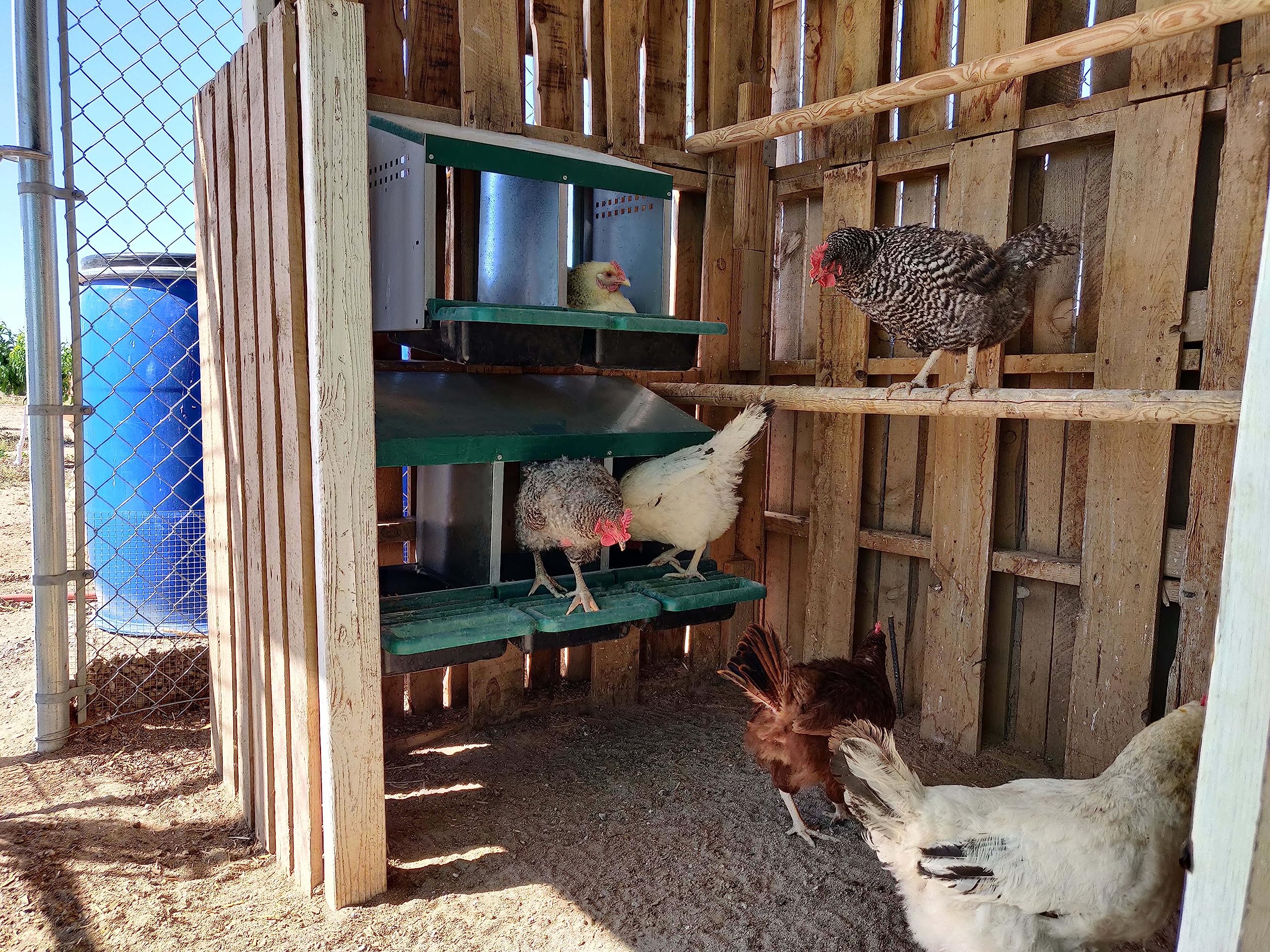 Homestead Essentials 2 Compartment Roll Out Nesting Box for Chickens | Heavy Duty Chicken Coop Nesting Box with Lid Cover to Protect Eggs (with Perch) | for Up to 10 Hens