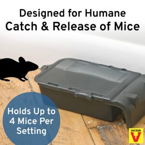 Victor 6 M333 Multiple Catch Humane Outdoor and Indoor Mouse Trap, Black