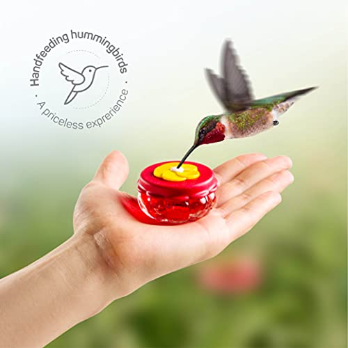 Handheld Small Glass Hummingbird Feeders (Set of 2) with Window Suction Mount Base - Window/Handheld or Tabletop Mini Hummingbird Feeders for Outdoors