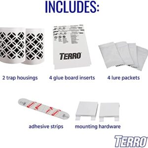 Terro T550 Indoor Fly Trap Plus Lure - Quantity 4