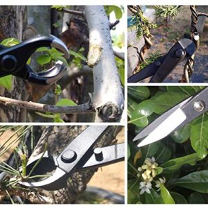 Pruning Shears, Bonsai Tools Bonsai Tool Kit Stainless Steel for Bonsai for Plant for Orchard for Garden