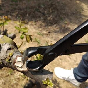 Pruning Shears, Bonsai Tools Bonsai Tool Kit Stainless Steel for Bonsai for Plant for Orchard for Garden