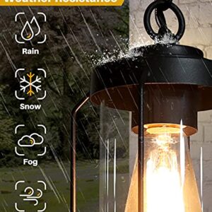 LALUZ Outdoor Pendant Light, Matte Black Exterior Hanging Lantern, Anti-Rust Outdoor Hanging Light Fixture with Clear Glass, Farmhouse Outdoor Porch Chandelier for Gazebo, Patio, Yard, 10”