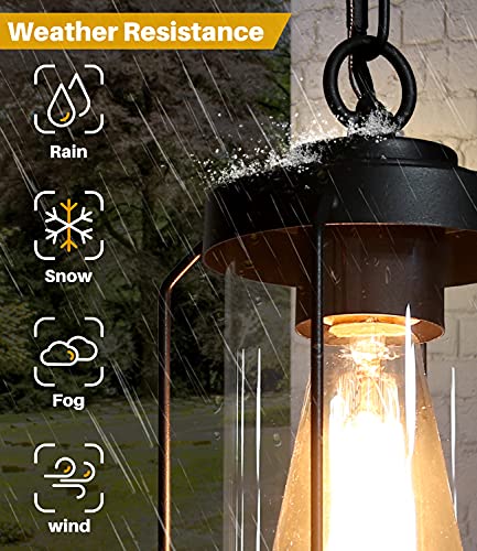 LALUZ Outdoor Pendant Light, Matte Black Exterior Hanging Lantern, Anti-Rust Outdoor Hanging Light Fixture with Clear Glass, Farmhouse Outdoor Porch Chandelier for Gazebo, Patio, Yard, 10”