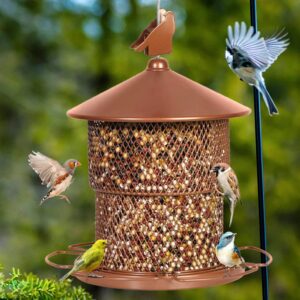 Mosloly Wild Bird Feeders Metal Outside - 7lbs Large Retractable Mesh Hanging Feeders Squirrel Proof, Blue Bird/Cardinal Wildlife Feeder, Attracts Birds(Brown)