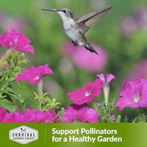 Survival Garden Seeds - Hummingbird Pollinator Mix Wildflower Seed for Planting - Packet with Instructions to Plant and Grow Flowering Plants in Your Home Vegetable Garden - Non-GMO Heirloom Varieties