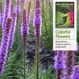 Survival Garden Seeds - Hummingbird Pollinator Mix Wildflower Seed for Planting - Packet with Instructions to Plant and Grow Flowering Plants in Your Home Vegetable Garden - Non-GMO Heirloom Varieties