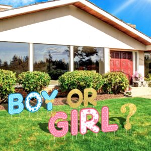 chinco 10 pieces gender reveal party decorations supplies baby shower plastic yard signs outdoor letters lawn with stakes for indoor garden (boy or girl)