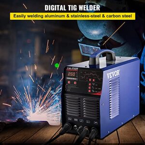 VEVOR TIG Welder AC/DC, 3 in 1 TIG/MMA/ARC Welding Machine with 110/220V Dual Voltage, 250A Aluminum MMA Welder w/Inverter IGBT and Digital Panel, Multiprocess ARC Welder