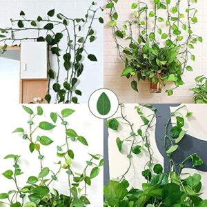 60 pcs Plant Wall Clips with 72 Pieces Acrylic Adhesive Sticker,Plant Climbing Wall Fixture Clips Plant Fixer Invisible Wall Vines Fixing Clips Self-Adhesive Hook Plant Clips Plant Vine Traction