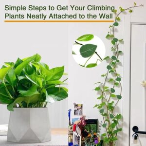 60 pcs Plant Wall Clips with 72 Pieces Acrylic Adhesive Sticker,Plant Climbing Wall Fixture Clips Plant Fixer Invisible Wall Vines Fixing Clips Self-Adhesive Hook Plant Clips Plant Vine Traction