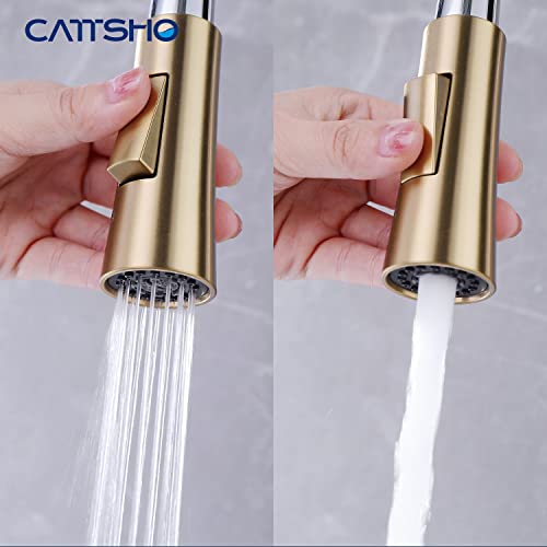 CATTSHO Kitchen Faucet with Pull Down Sprayer, Brass Kitchen Sink Faucet Gold Single Handle High Arc Commercial Spot Resist