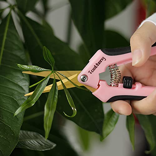 TOOLTENG 1 Pack Pruning Shears with Curved Blades, Garden Trimming Scissors, Gardening Hand Pruning Snips Titanium Coated Precision Bonsai Pruning Shears, Efficient Flower Cutters (Pink)